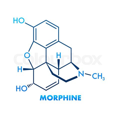 Morphine Concept Chemical Formula Icon Label Text Font Vector
