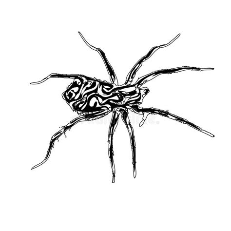 Sketch Of A Spider For An Element In Making Logos And Activity Symbols Stock Illustration