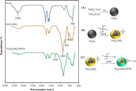 Ftir Spectra For A Fe 3 O 4 Mnps B Fe 3 O 4 Sio 2 Sio 2 Download Scientific Diagram
