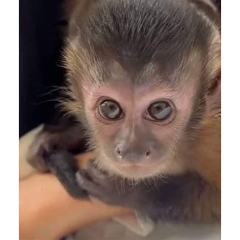 Kameron De Bord Online Businesses Life After Porn Enterprises Xing