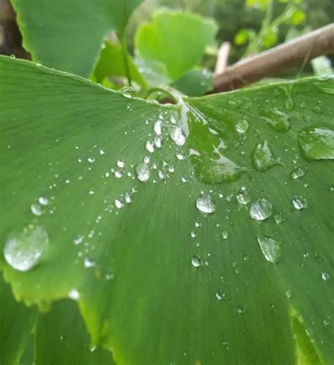 자동차 에어컨 냄새 제거제 사용법과 원인별 해결법 브리스크노트