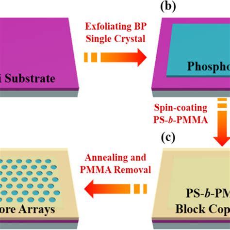 Schematics And Morphology Characterizations Of Self Assembly Of Download Scientific Diagram