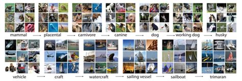 Imagenet数据集的构建逻辑imagenet数据集结构林学森的博客 Csdn博客