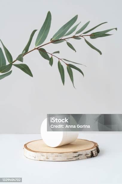 회색 배경에 나무 톱 컷과 유칼립투스 지점에 브랜딩흰색 용기 디스플레이에 화장품 제품 트렌디 한 모형 뷰티 및 스파 광고 둥근 항아리와 녹색 잎 전면 보기입니다 목재 재료에