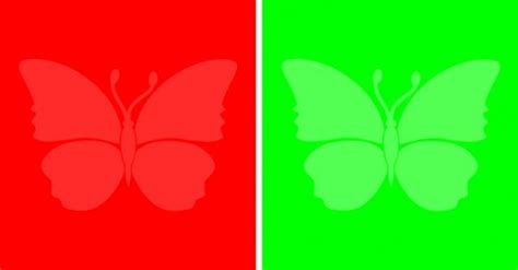 მხედველობის ტესტი შეამოწმეთ რამდენად კარგი თვალები გაქვთ