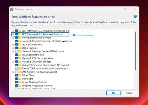 Enable Net Framework 48 Advanced Services In Windows 11