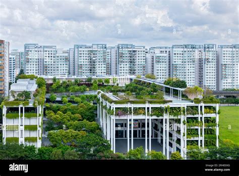 Oasis Terraces In Singapore A Green Roof Provides An Urban Nature Based Solution To