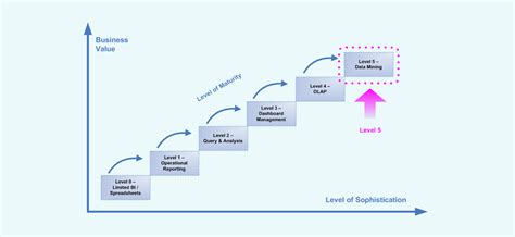 Bi Maturity Model Level 5 Data Mining And Predictive Analytics Bi