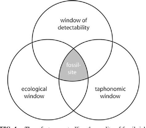 Figure 1 From Microbially Induced Sedimentary Structures In Clastic Deposits Implication For