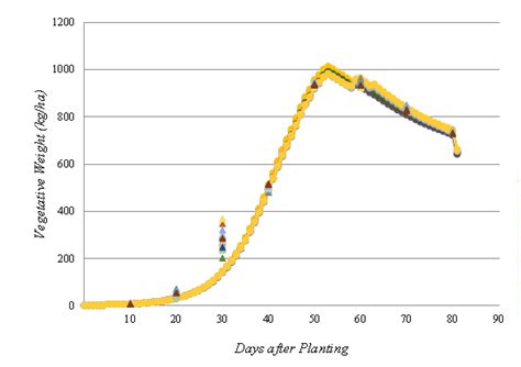 Dssat Prediction And Field Observation For Vegetative Weight Leaves