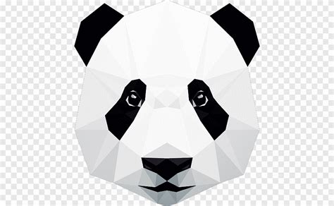 Ball Font Design Sports Equipment Oogway Png Pngegg