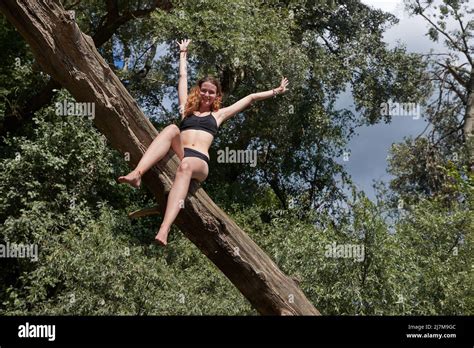 Girl Sitting High Up On A Fallen Tree Stock Photo Alamy