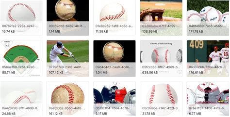 体育球图像数据集 探险家的数据窝