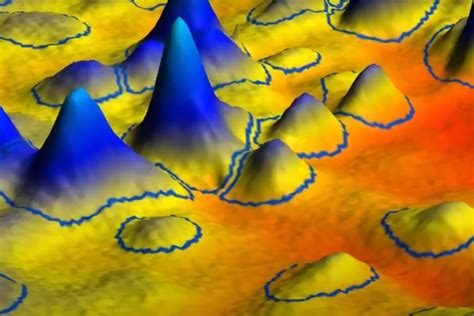How To Validate The Accuracy Of Your Hcp Antibody Coverage Totallab