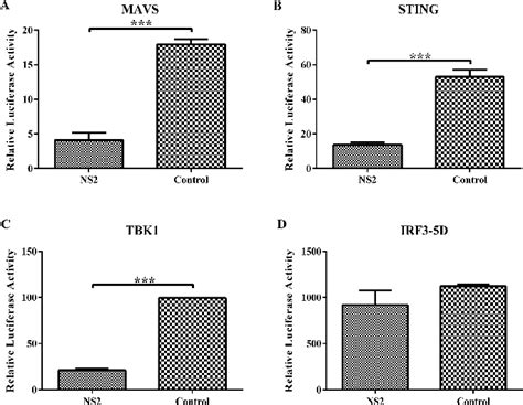 Figure 4 From Feline Panleucopenia Virus Ns2 Suppresses The Host Ifn β