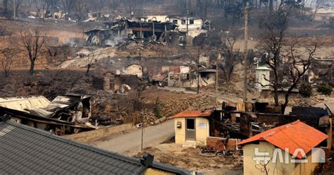 폐허가 돼버린 영덕읍 석동1길 한 마을