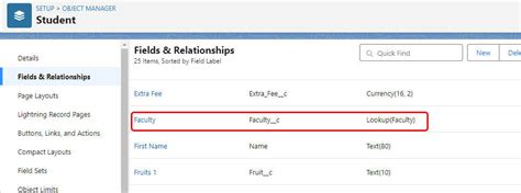 Convert Master Details Relationship Into Lookup In Salesforce
