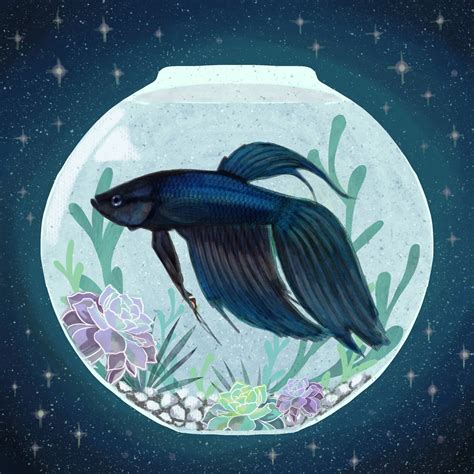 Illustration — Kate Cleaves