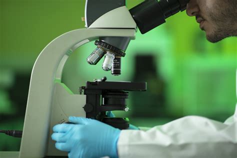 Understanding Struvite Formation Omex Environmental
