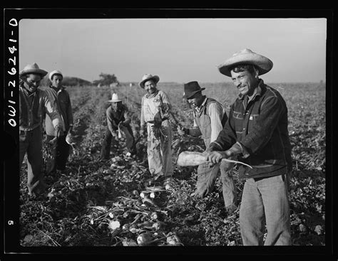 The Bracero Program The American Leader