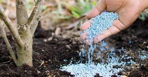 Цены на удобрения в Молдове выросли в 4 5 раз начиная с зимы 2021 года