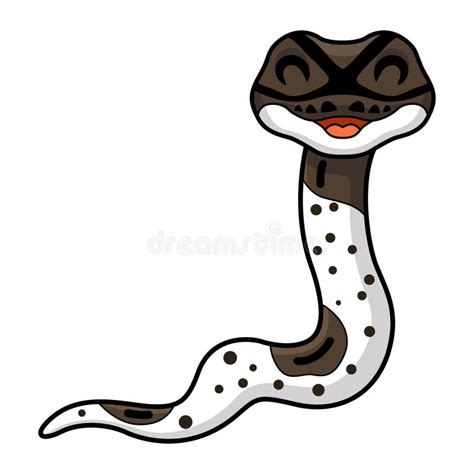 Cute Oreo Pied Ball Python Cartoon Stock Vector Illustration Of Morphology Mascot 274605221