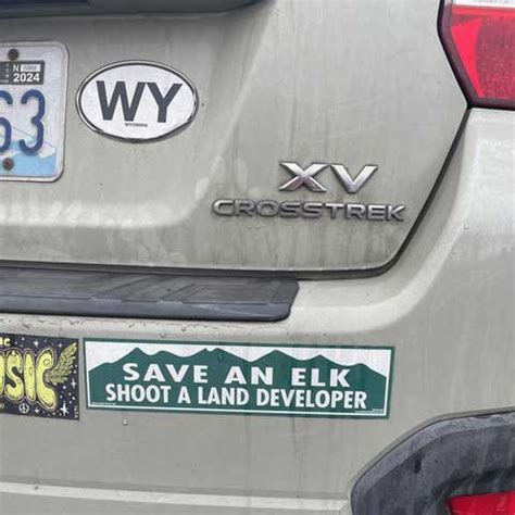 Create Long Lasting Bumper Stickers Design And Durability Tips