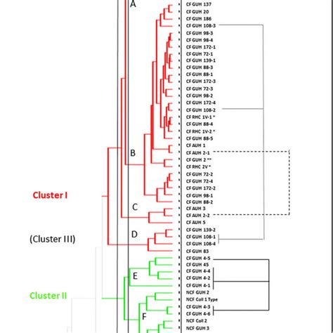 Upgma Constructed Tree Based On Maldi Tof Main Spectra Msps Of 59