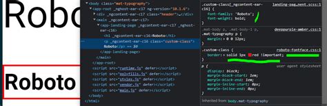 Html Custom Font In Angular 10 Project Is Loaded In Network Styles Are Applied But Is Not