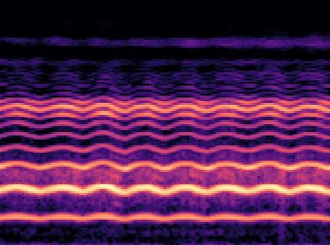 Ccmusic Database Bel Canto Datasets At Hugging Face