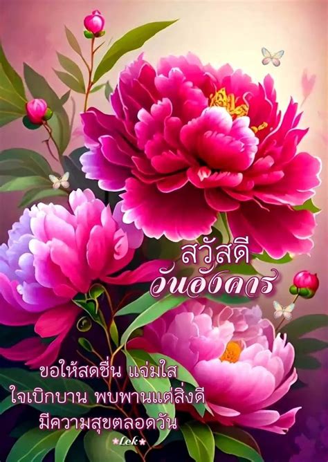 สวัสดี วัน อังคาร การถ่ายภาพดอกไม้ ดอกไม้สีม่วง ดอกไม้สวย