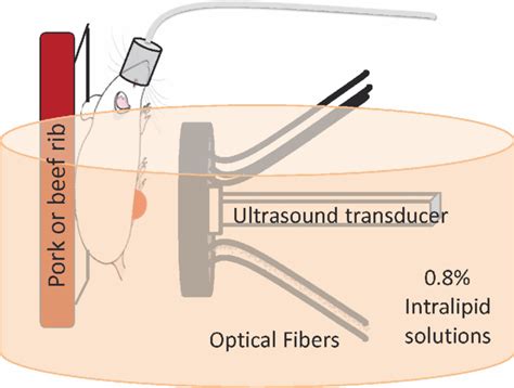 Artifact Reduction Method In Ultrasound Guided Diffuse Optical