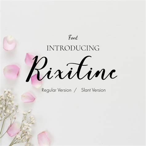 Rixiline Script Modern Font Masterbundles