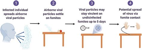 Fomites And Their Role In The Spread Of Bacteria And Viruses Big Red