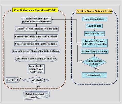 Flowchart Of The Coot Ann Model Download Scientific Diagram