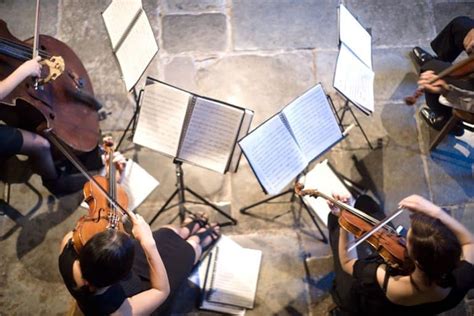 History Of The String Quartet At String Musicians Australia