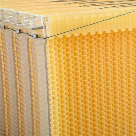 7pcs Auto Beehive Frames Beekeeping Frames Bee Hive Harvest Honey Tool