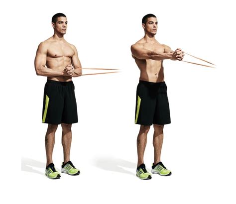 How To Pallof Press Form And Variations Thaimedfood