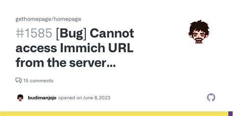 Bug Cannot Access Immich Url From The Server Container Service · Issue 1585 · Gethomepage