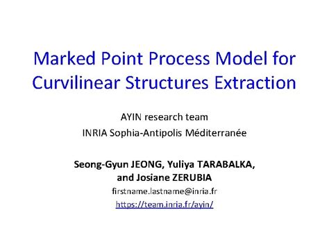 Marked Point Process Model For Curvilinear Structures Extraction