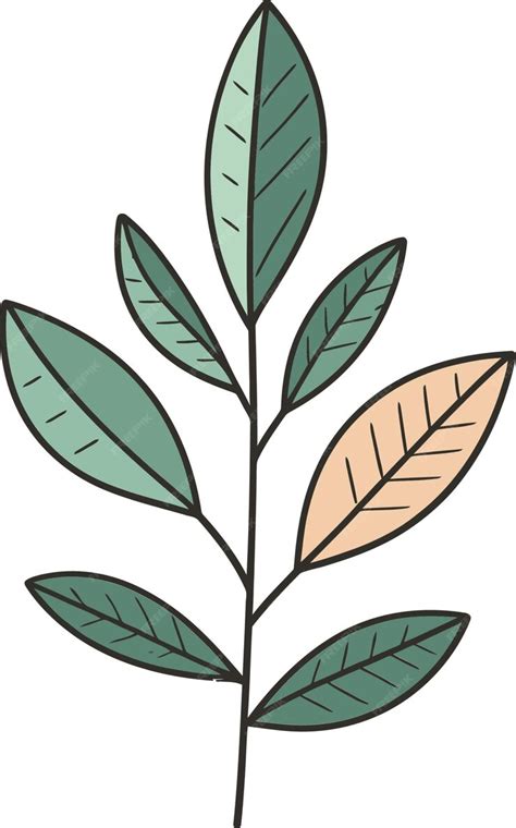 Premium Vector Budding Inspiration Leaf Vector Designs For