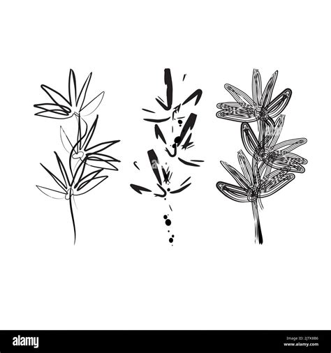 Free Hand Illustration Of Grass Drawing As A Design Element Stock