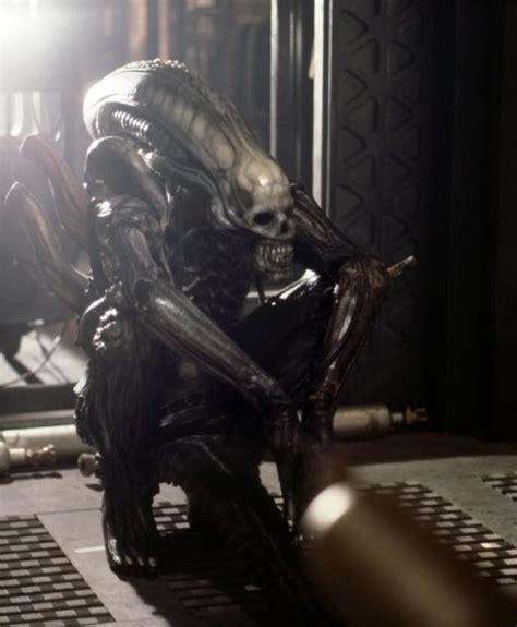 Alien 1979 Xenomorph