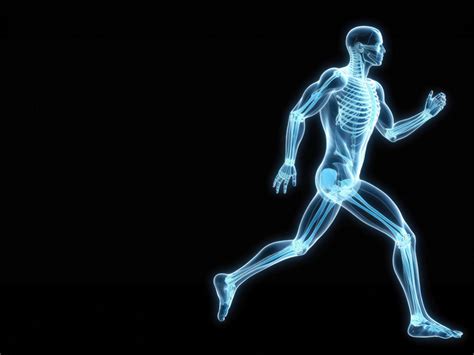 Rebooting Bone Regeneration Reboot Project Results In Brief H2020