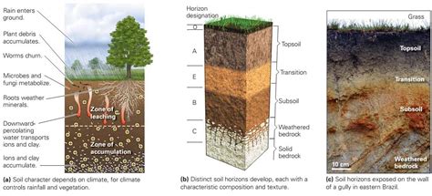 Three Different Types Of Soil Layers