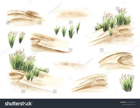 Beach Grass Clipart