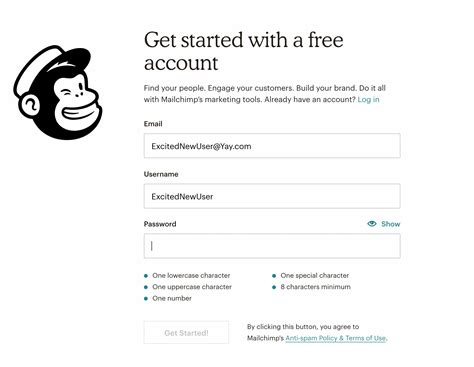 Mailchimps Real Time Password Checker