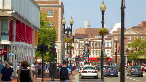 Middlesex County Us Holiday Accommodation Holiday Houses And More Stayz