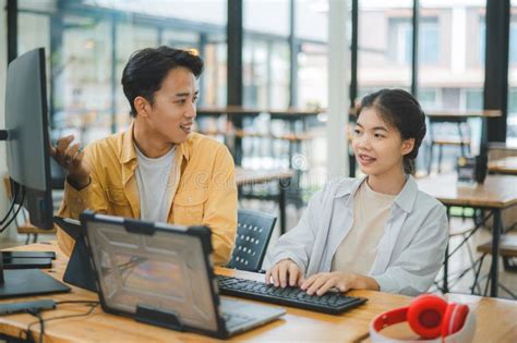 Team Programmer Focuses On Software Development Site Design And The