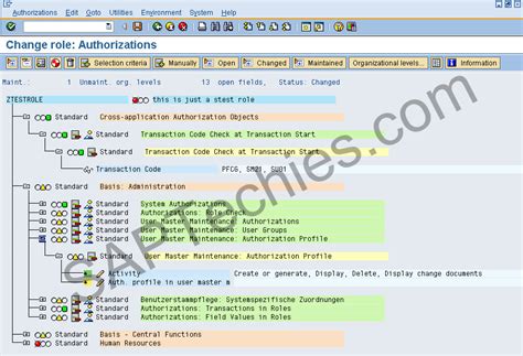 Pfcg Sap Roles And Authorizations Maintenance